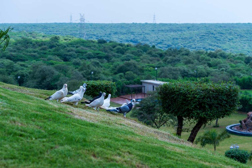 25+ Best Birthday Party Places in Gurgaon