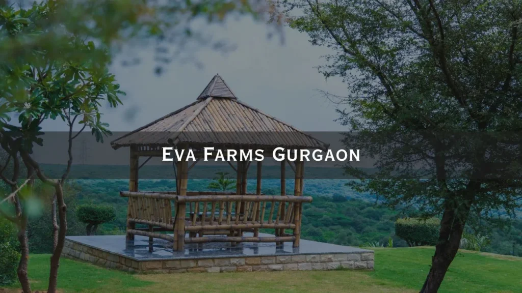 20 Places to Hangout in Gurgaon for 2024 - Eva Farms Gurgaon