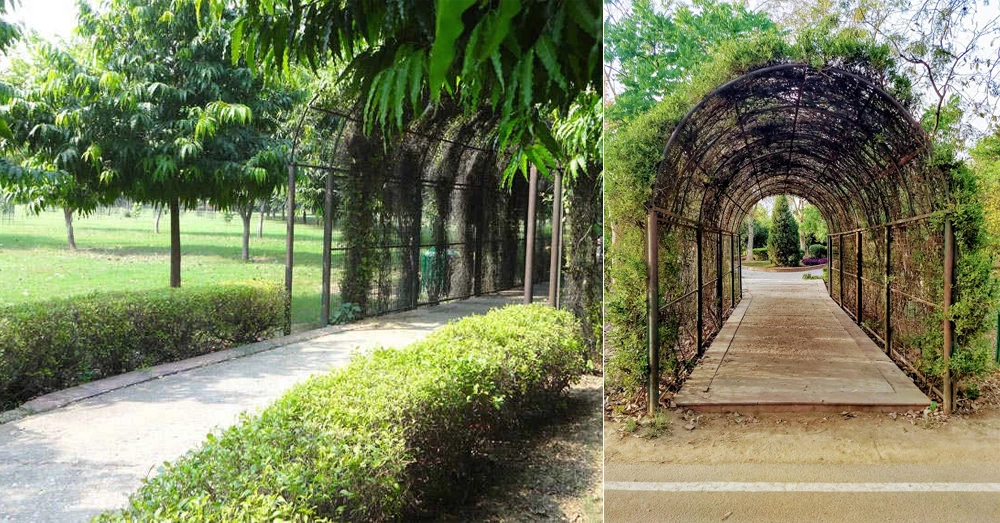 20 Places to Hangout in Gurgaon for 2024 - Eva Farms Gurgaon